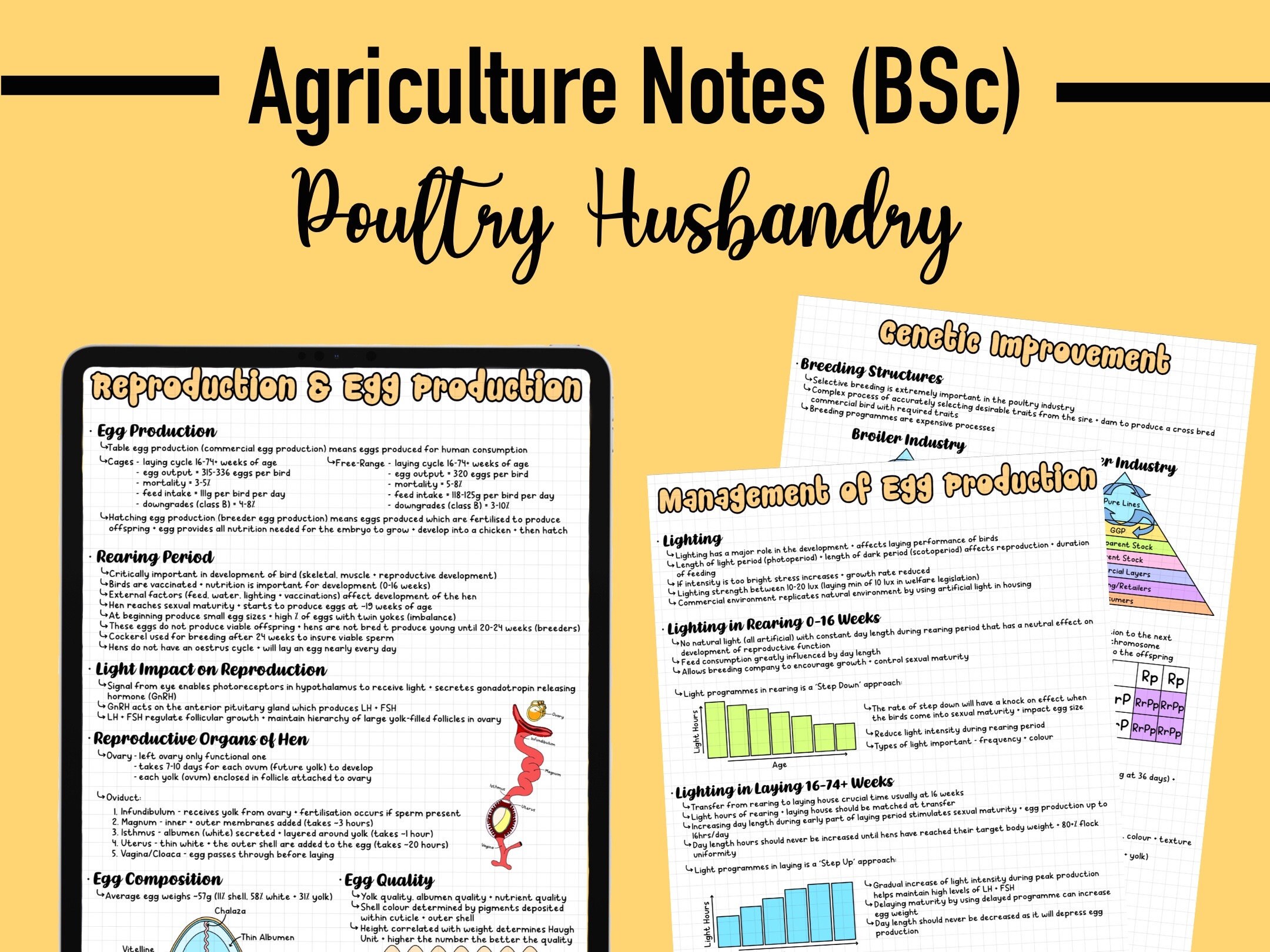 AGRICULTURE NOTES - Poultry Husbandry - Etsy