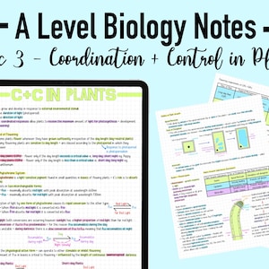 BIOLOGY NOTES A LEVEL - Coordination + Control in Plants - Etsy