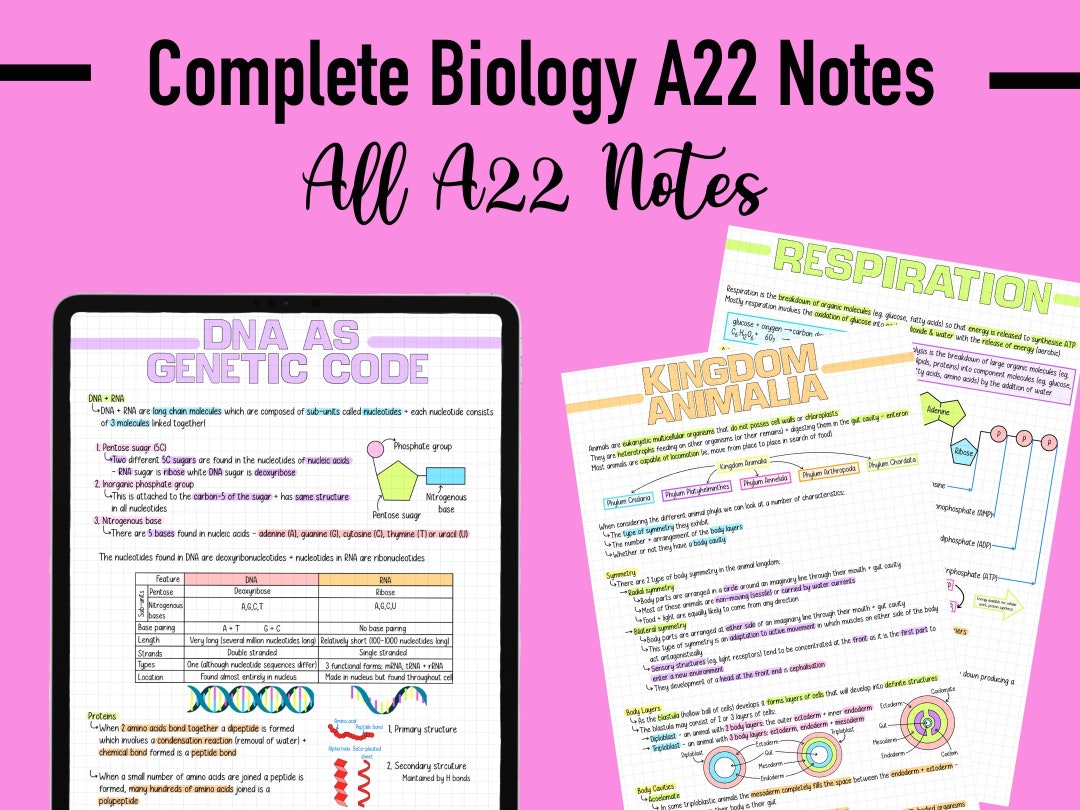 COMPLETE Biology A22 Notes Bundle A Level - Etsy