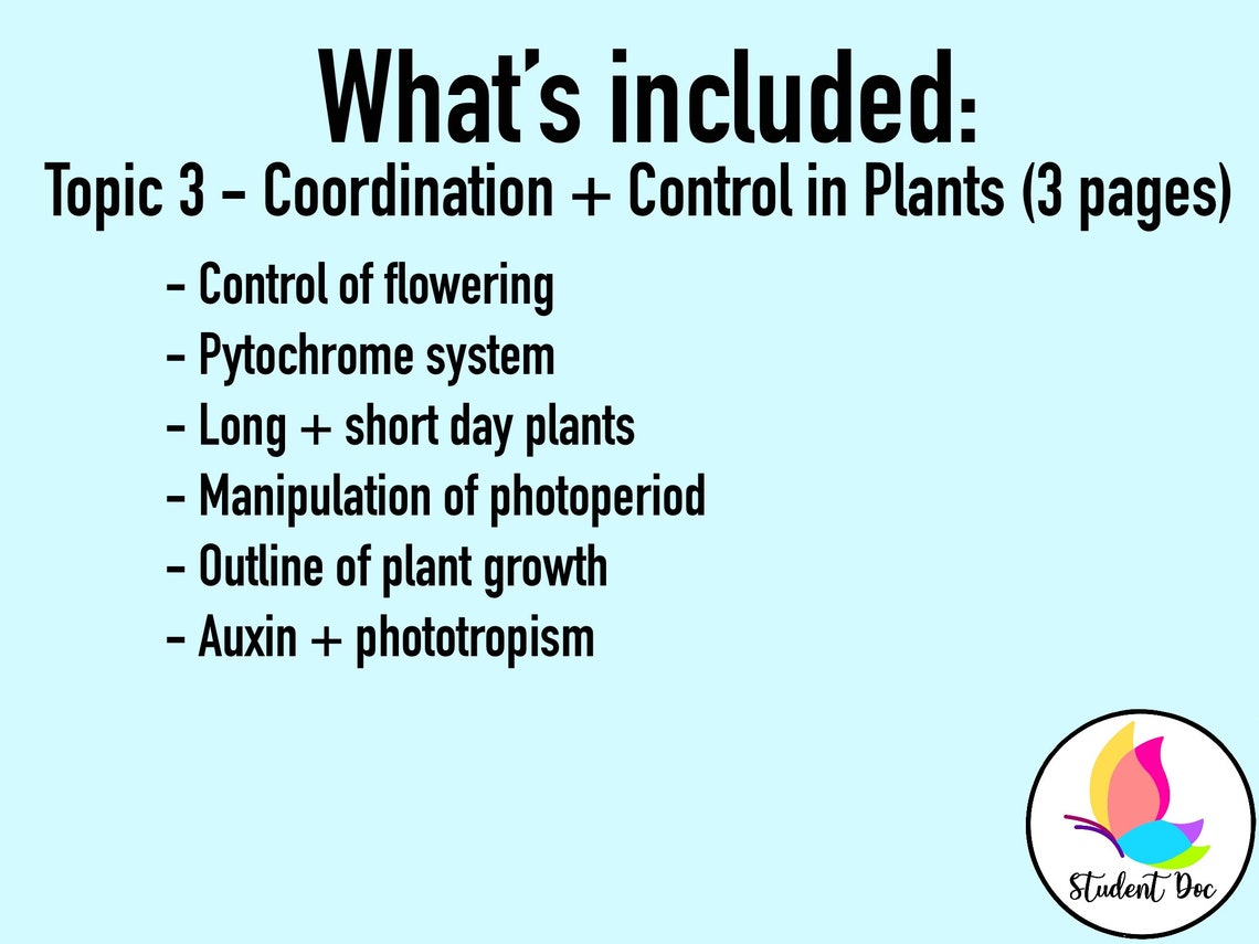 BIOLOGY NOTES A LEVEL - Coordination + Control in Plants - Etsy