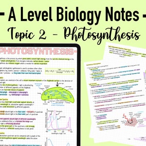 BIOLOGY NOTES A LEVEL - Photosynthesis - Etsy