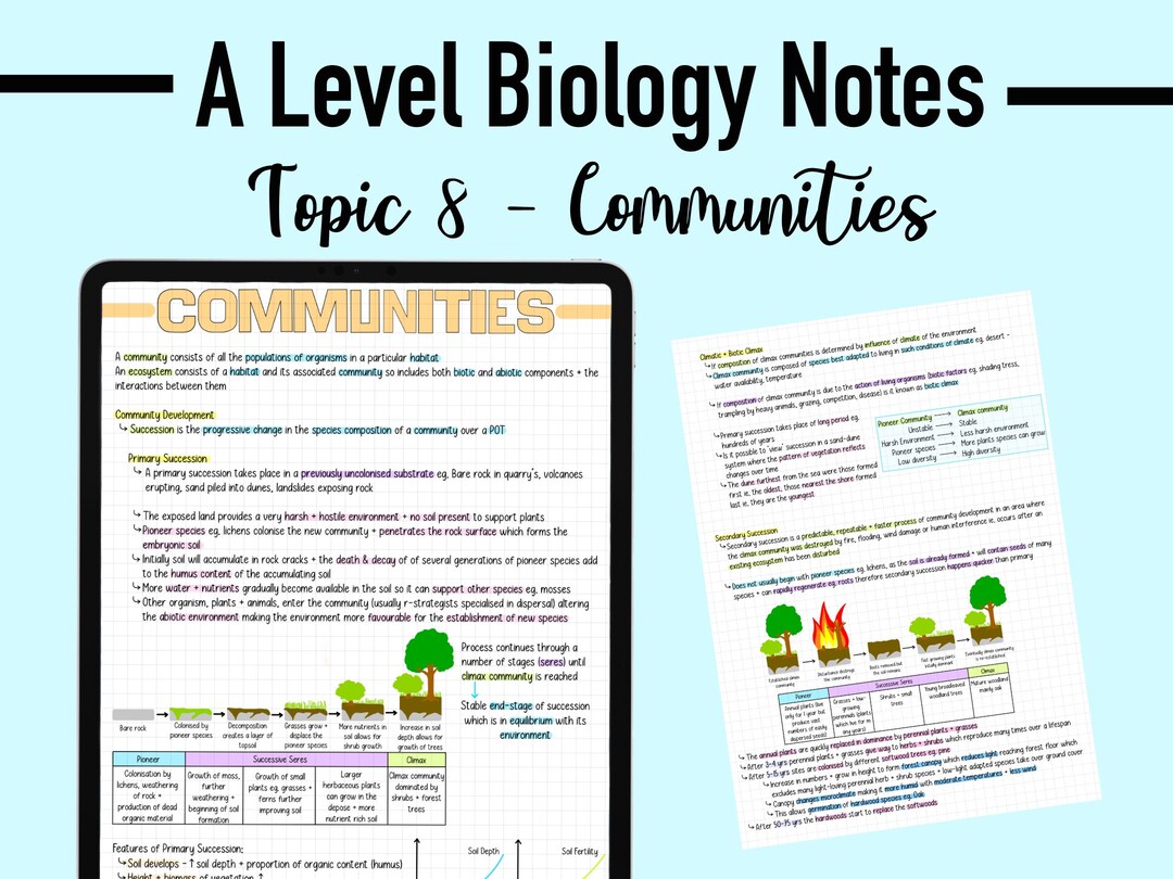 BIOLOGY NOTES A LEVEL Communities - Etsy