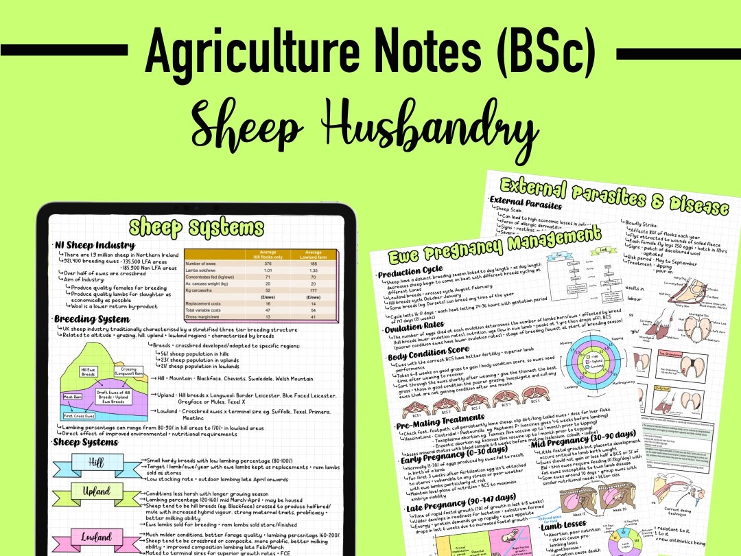 AGRICULTURE NOTES Sheep Husbandry - Etsy UK