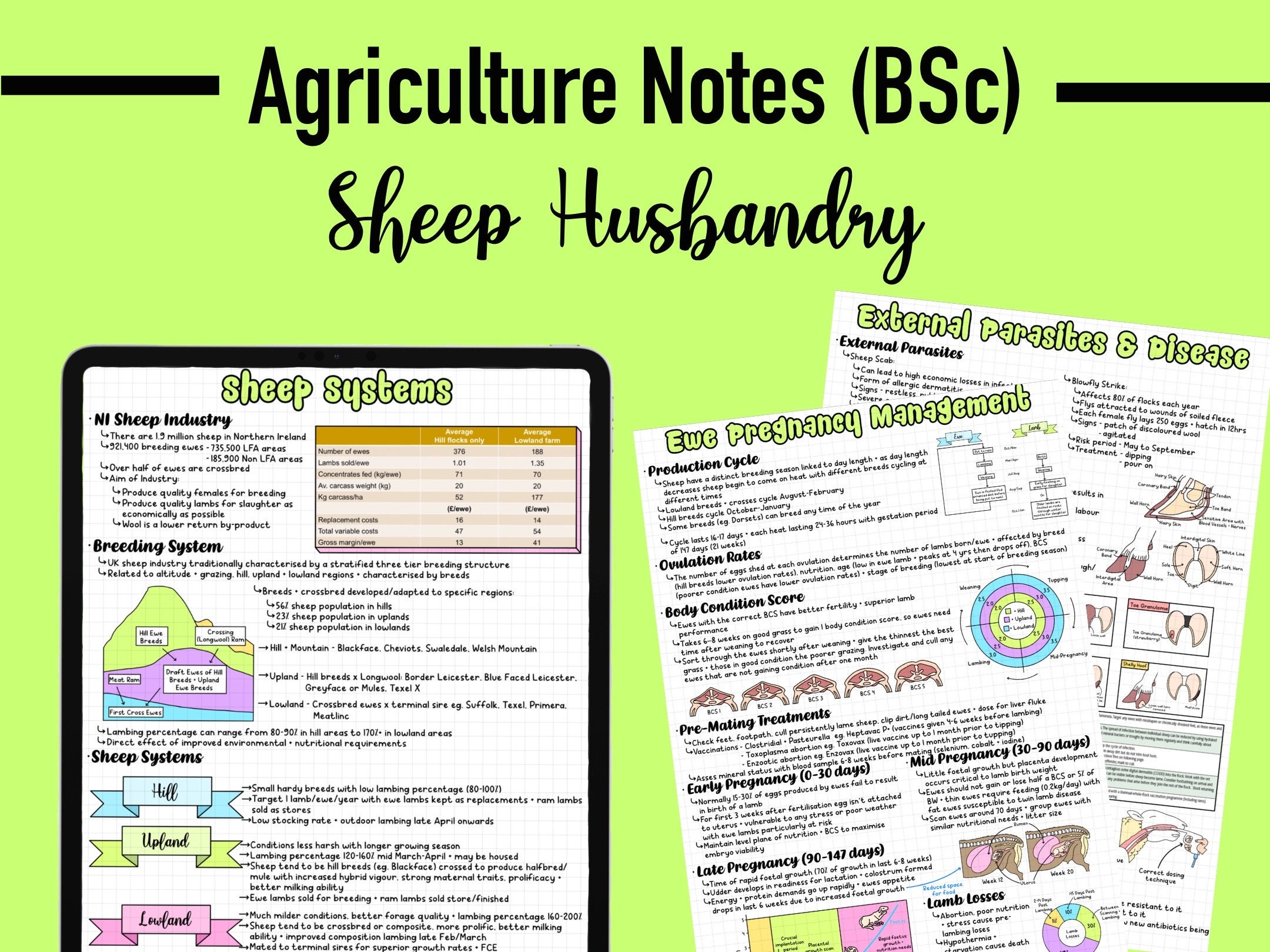 AGRICULTURE NOTES Sheep Husbandry - Etsy UK