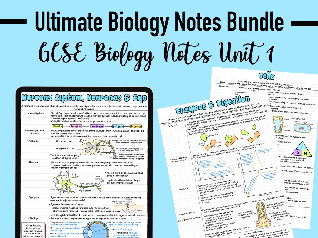 GCSE BIOLOGY NOTES - Unit 1 - Etsy