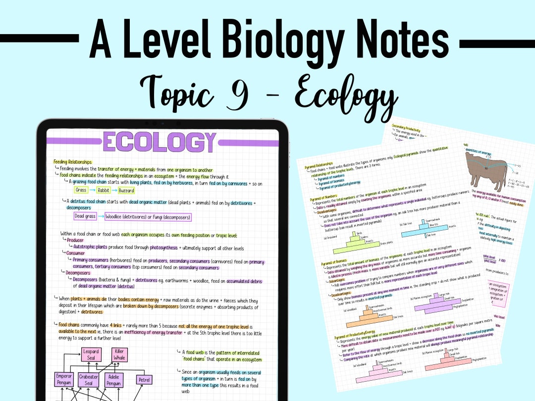 BIOLOGY NOTES A LEVEL - Ecology - Etsy