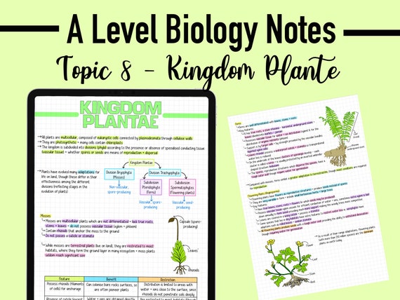 BIOLOGY NOTES A LEVEL Kingdom Plantae - Etsy