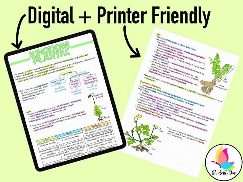 BIOLOGY NOTES A LEVEL - Kingdom Plantae - Etsy