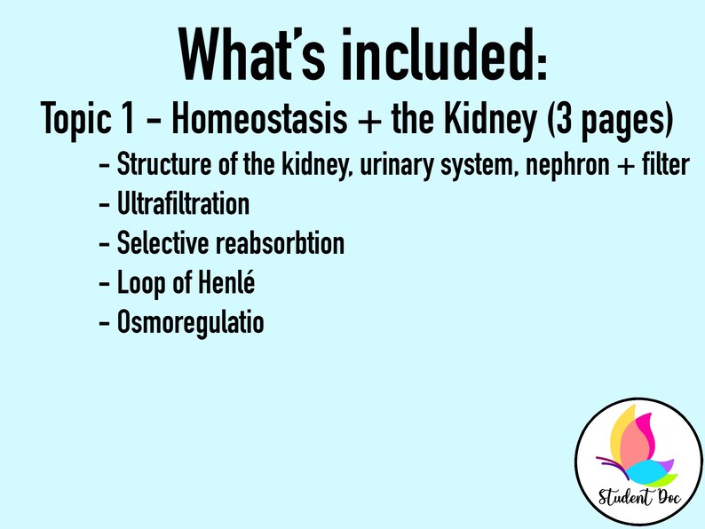 BIOLOGY NOTES A LEVEL - Homeostasis + the Kidney - Etsy