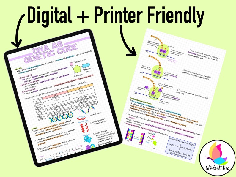 BIOLOGY NOTES A LEVEL D.N.A as Genetic Code - Etsy