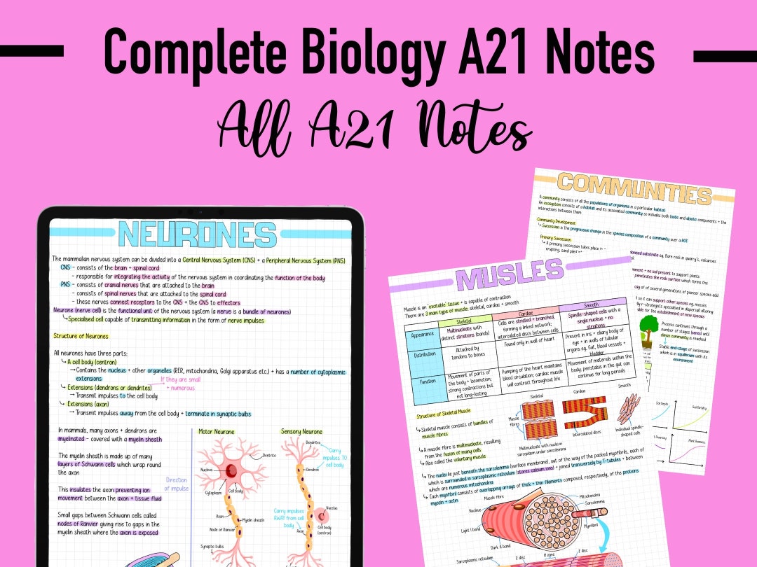 COMPLETE Biology A21 Notes Bundle A Level - Etsy