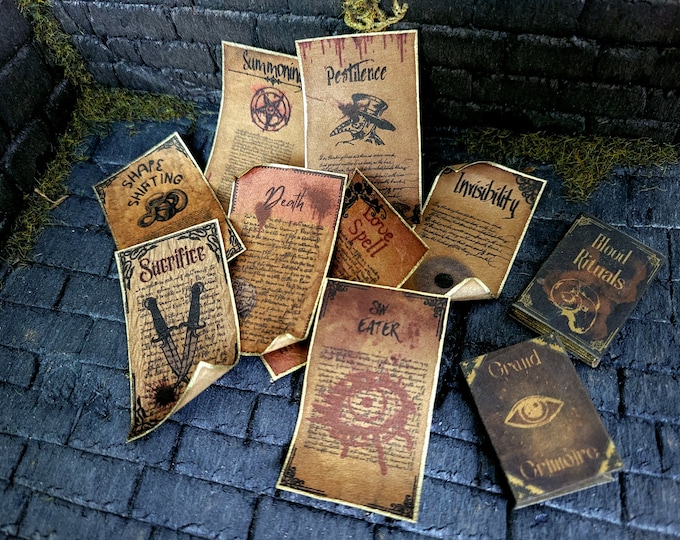 Miniature Scrolls and 2 Book Set - Etsy