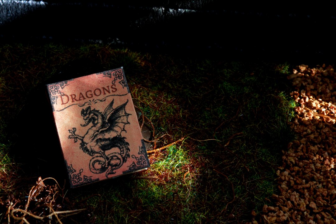 Mini Dragons Book (illustrated) - Etsy