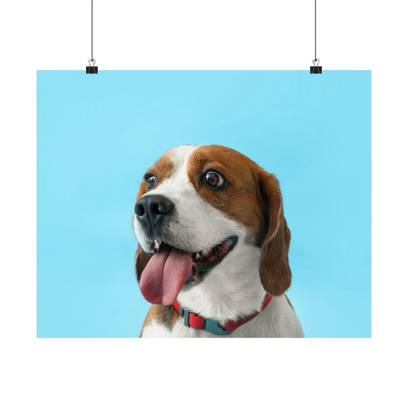 Cute Beagle With Blue Background Poster Print, Beagle Lover Gift, Dog ...