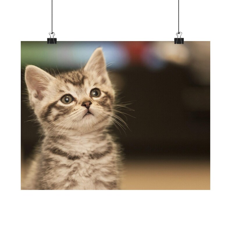 Curious Kitten Poster, Cat Art Print, Cute Animal Painting, Curiosity ...