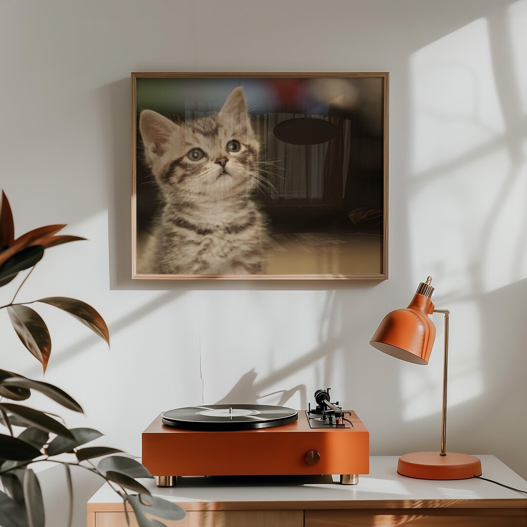 Curious Kitten Poster, Cat Art Print, Cute Animal Painting, Curiosity ...