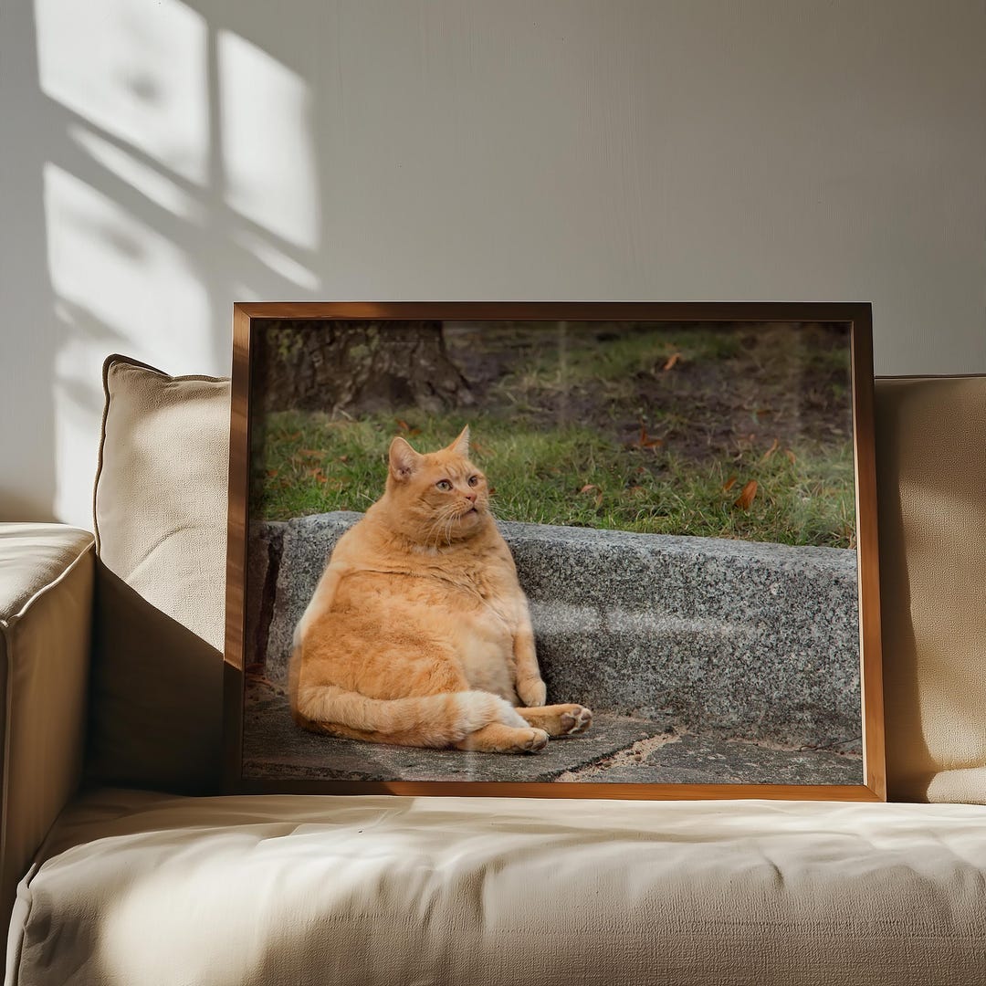 Chubby Orange Cat Poster, Quirky Matte Wall Decor (ready to Frame) - Etsy