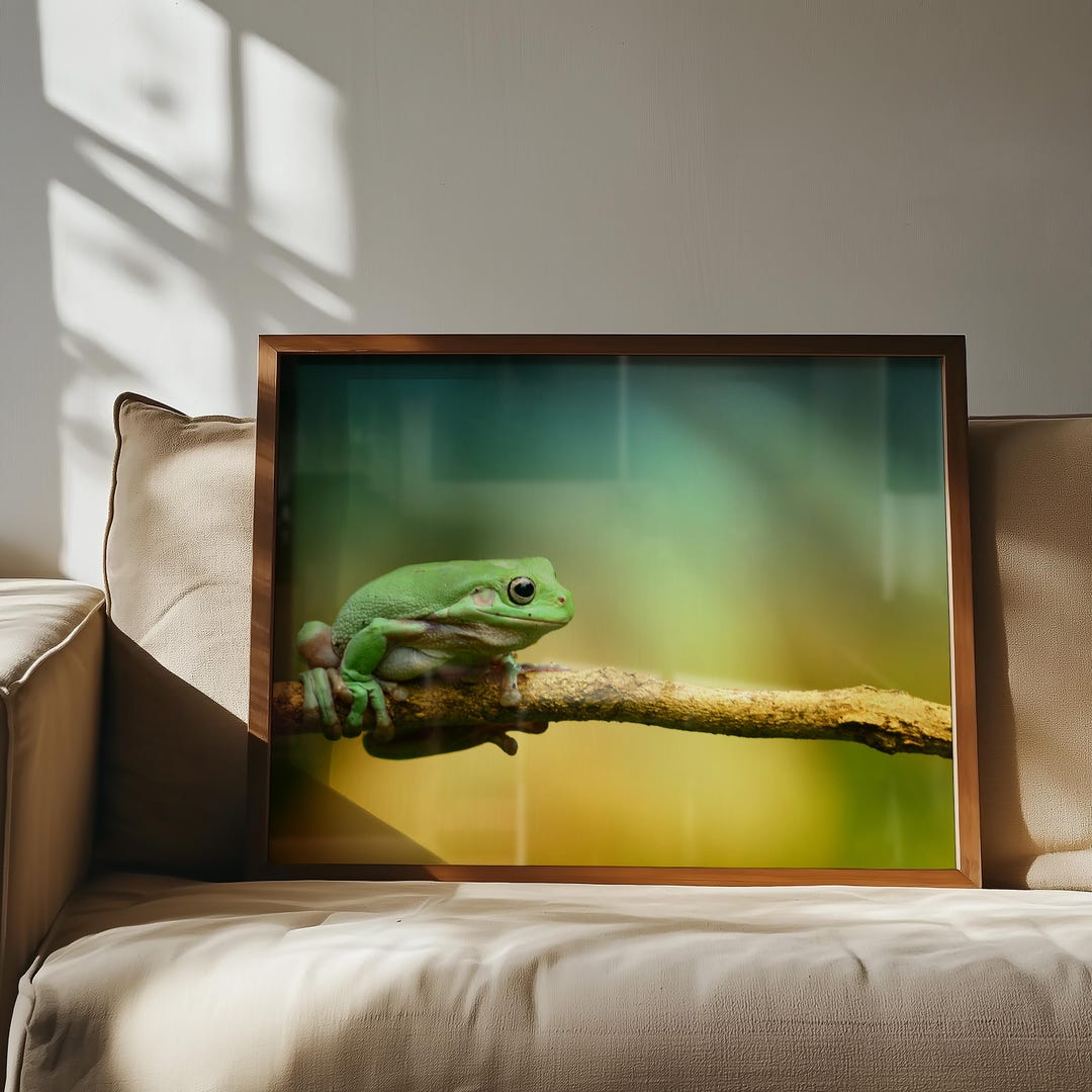 Tree Frog Poster, Nature-inspired Frog Wall Art Print, Greenery Home ...