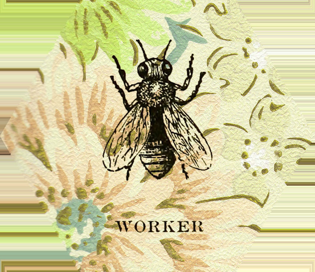 Vintage Honey Bee Backgrounds for Notebooks , Mugs , Posters - Etsy
