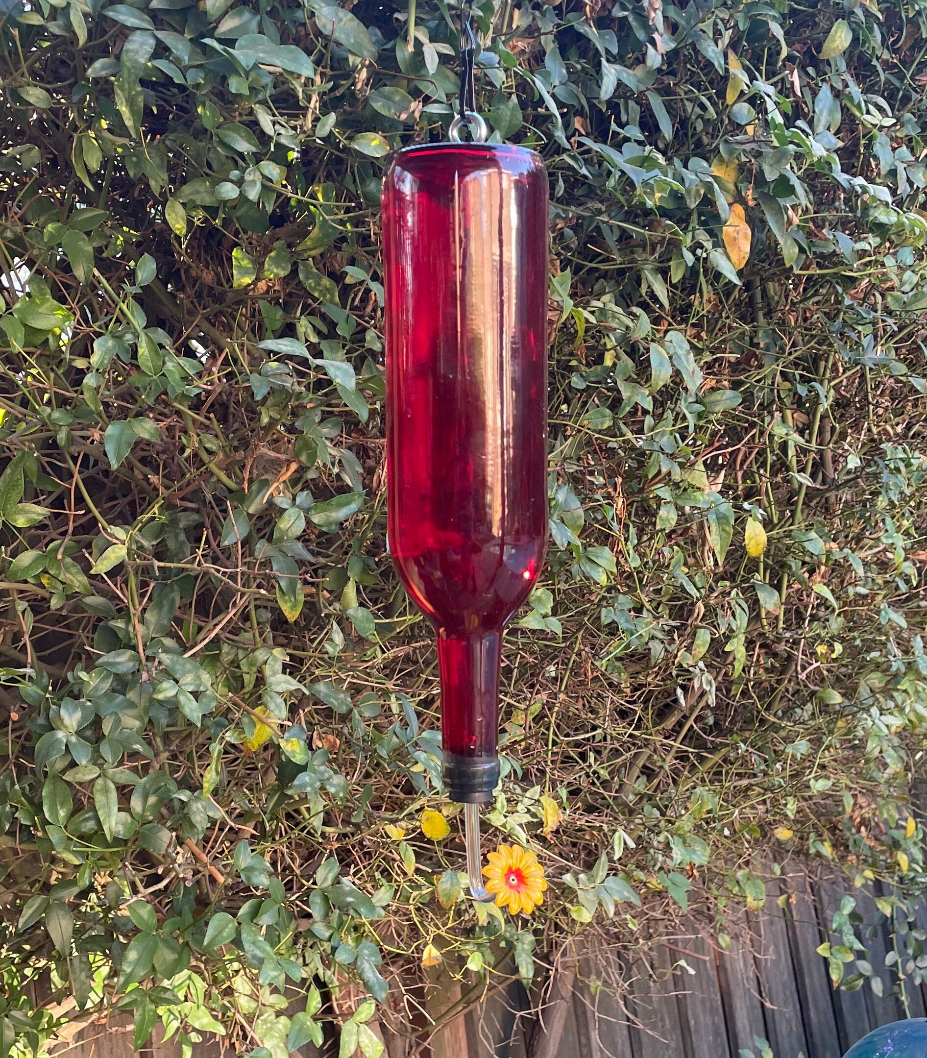 Hanging Wine Bottle Hummingbird Feeder - Etsy