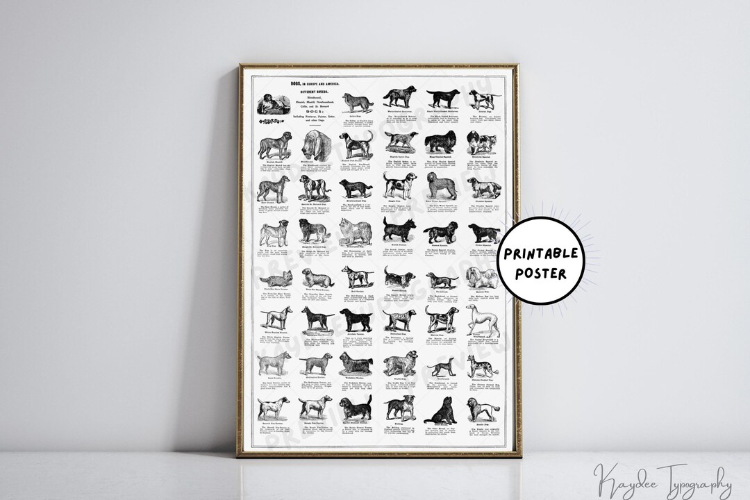 Vintage Dog Breeds Printable Poster Instant Download Print for Dog and ...