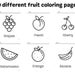 Printable Fruit Coloring Pages 10-count - Etsy
