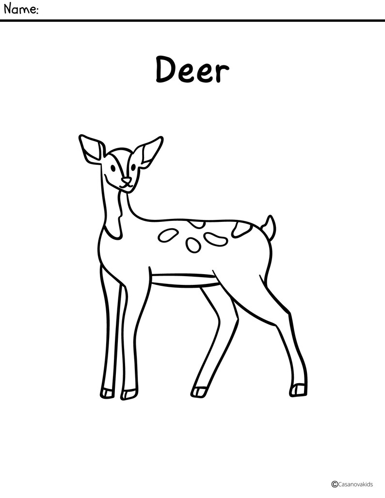 4 Fall Animal Coloring Printable Pages - Etsy