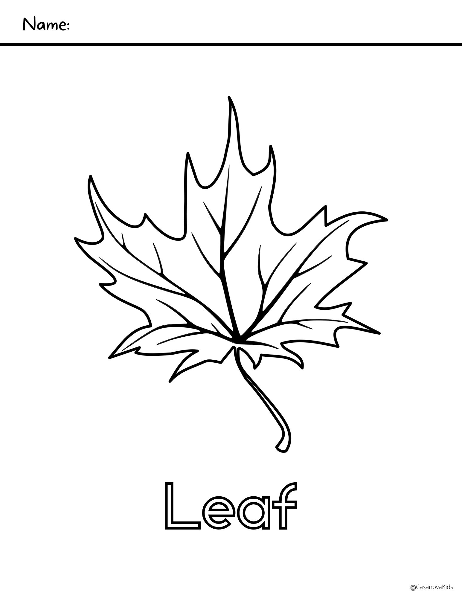 Printable Fall Coloring Pages for Kids 6-count - Etsy