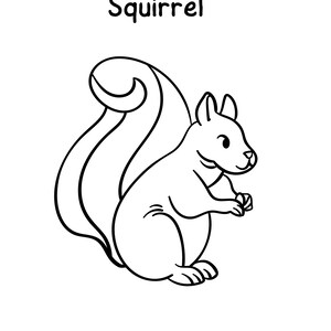 4 Fall Animal Coloring Printable Pages - Etsy