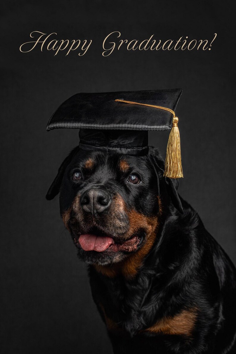 Rottweiler Graduate, Happy Graduation Card for Multiple Occasions ...