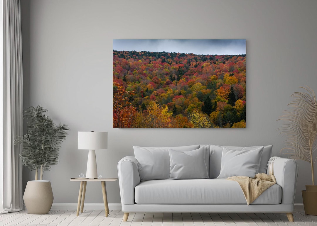 Digital Download of Fall Foliage on Black Mountain WV, Instant Download ...