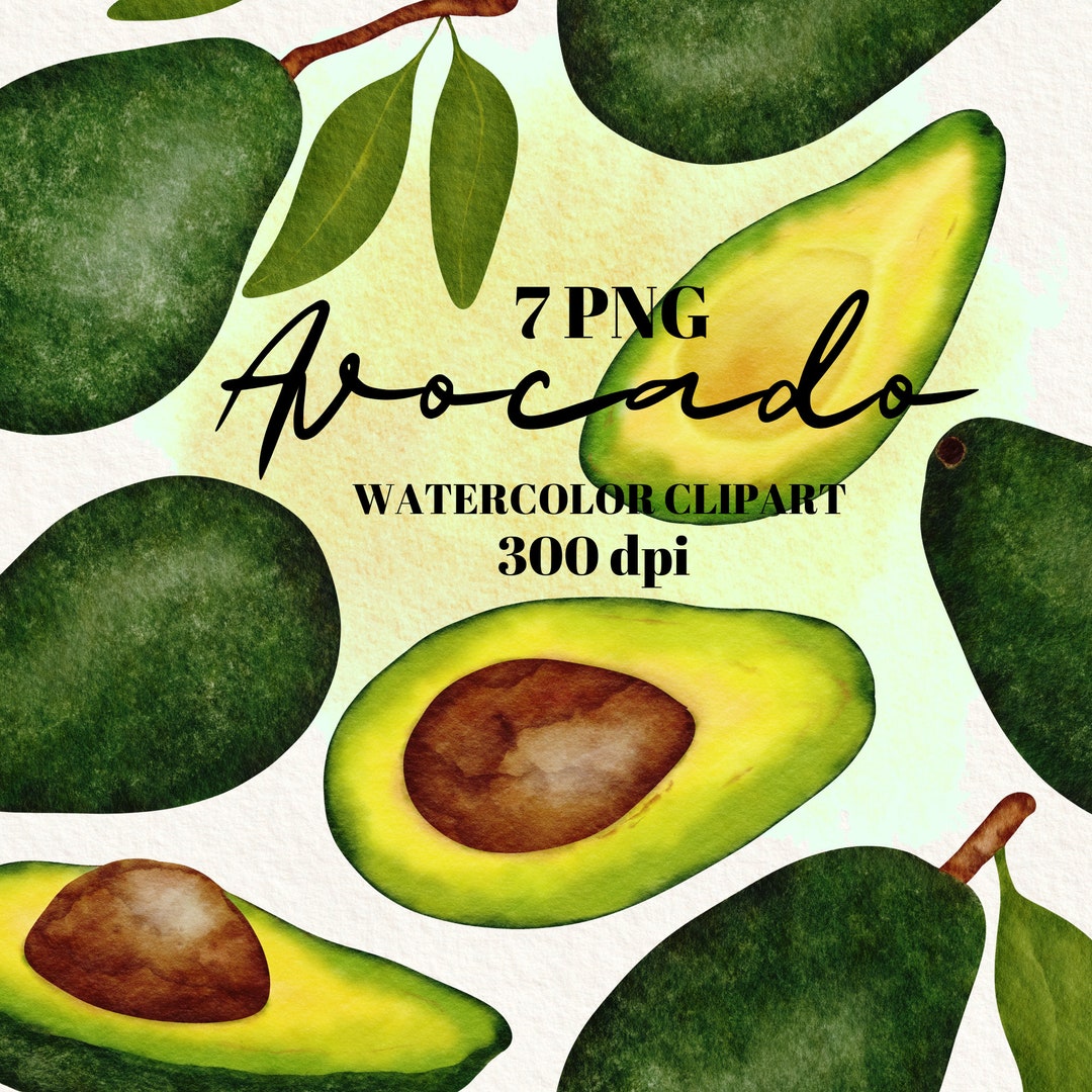 Avocado Clipart PNG Watercolor Avocado Clipart Set Vaggies - Etsy
