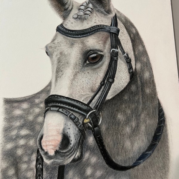 Dapple Grey Horse - Etsy