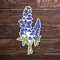 Bluebonnet - Etsy