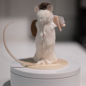 Taxidermy Mouse Bob Ross! Odditys / Curiosity - Etsy