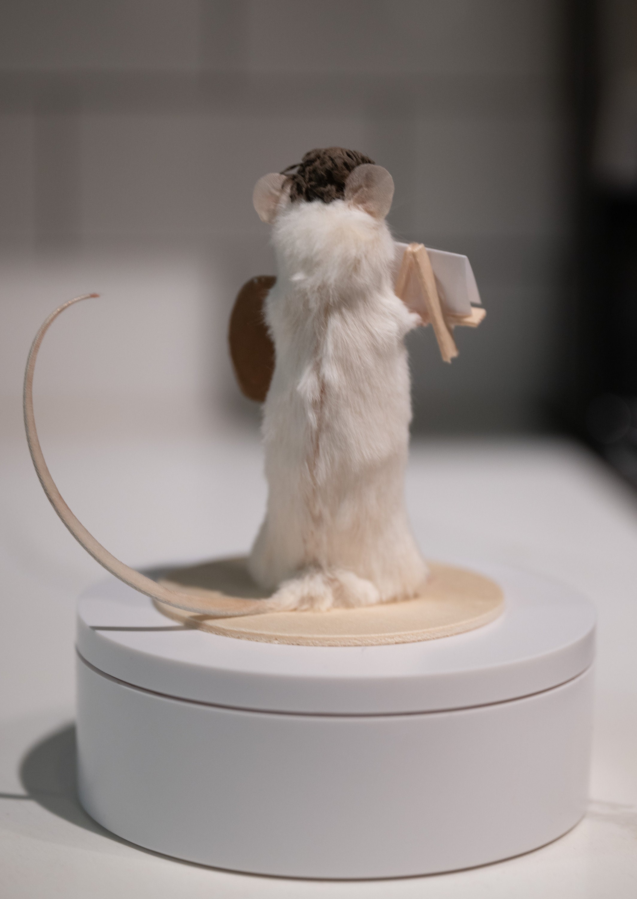 Taxidermy Mouse Bob Ross! Odditys / Curiosity - Etsy
