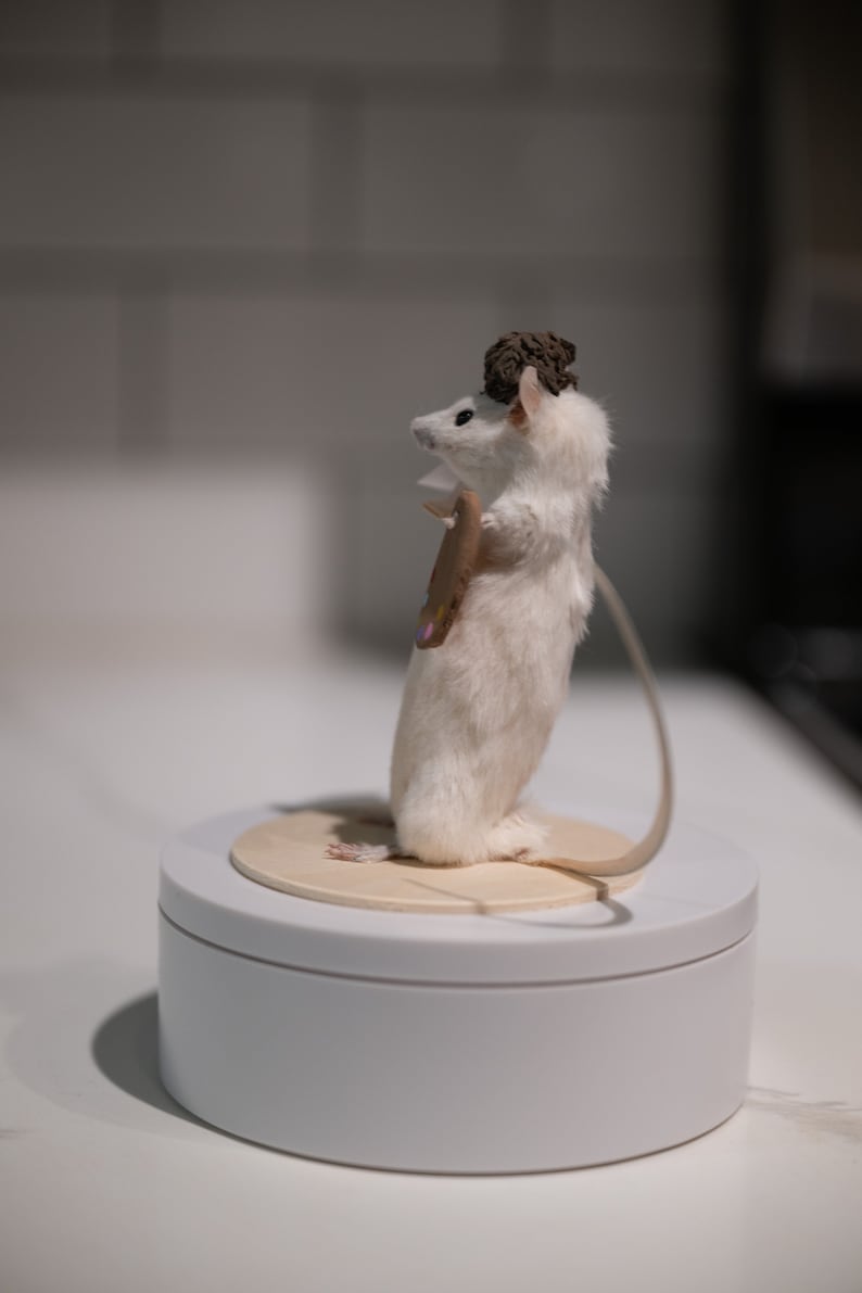 Taxidermy Mouse Bob Ross! Odditys / Curiosity - Etsy