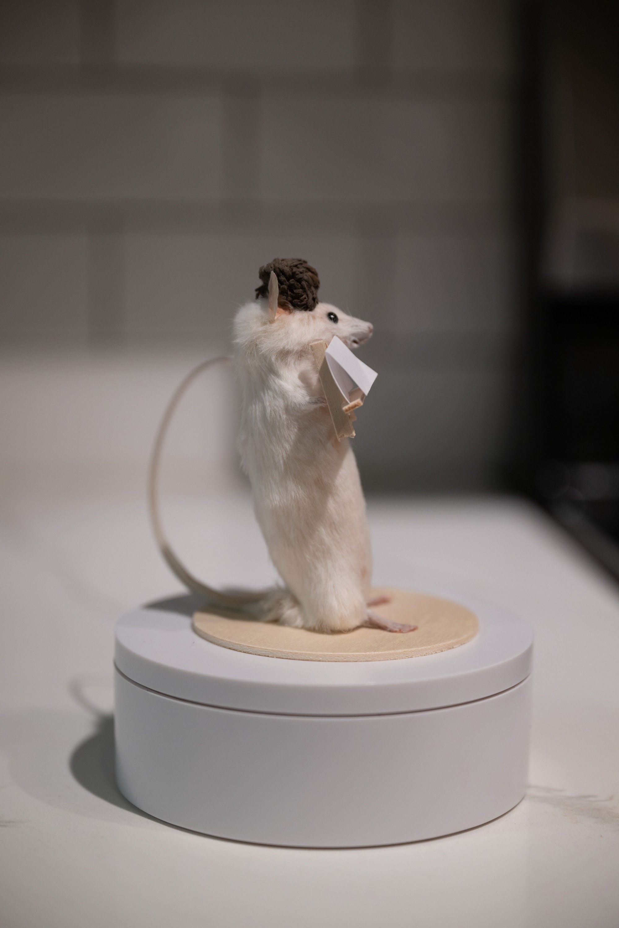 Taxidermy Mouse Bob Ross! Odditys / Curiosity - Etsy