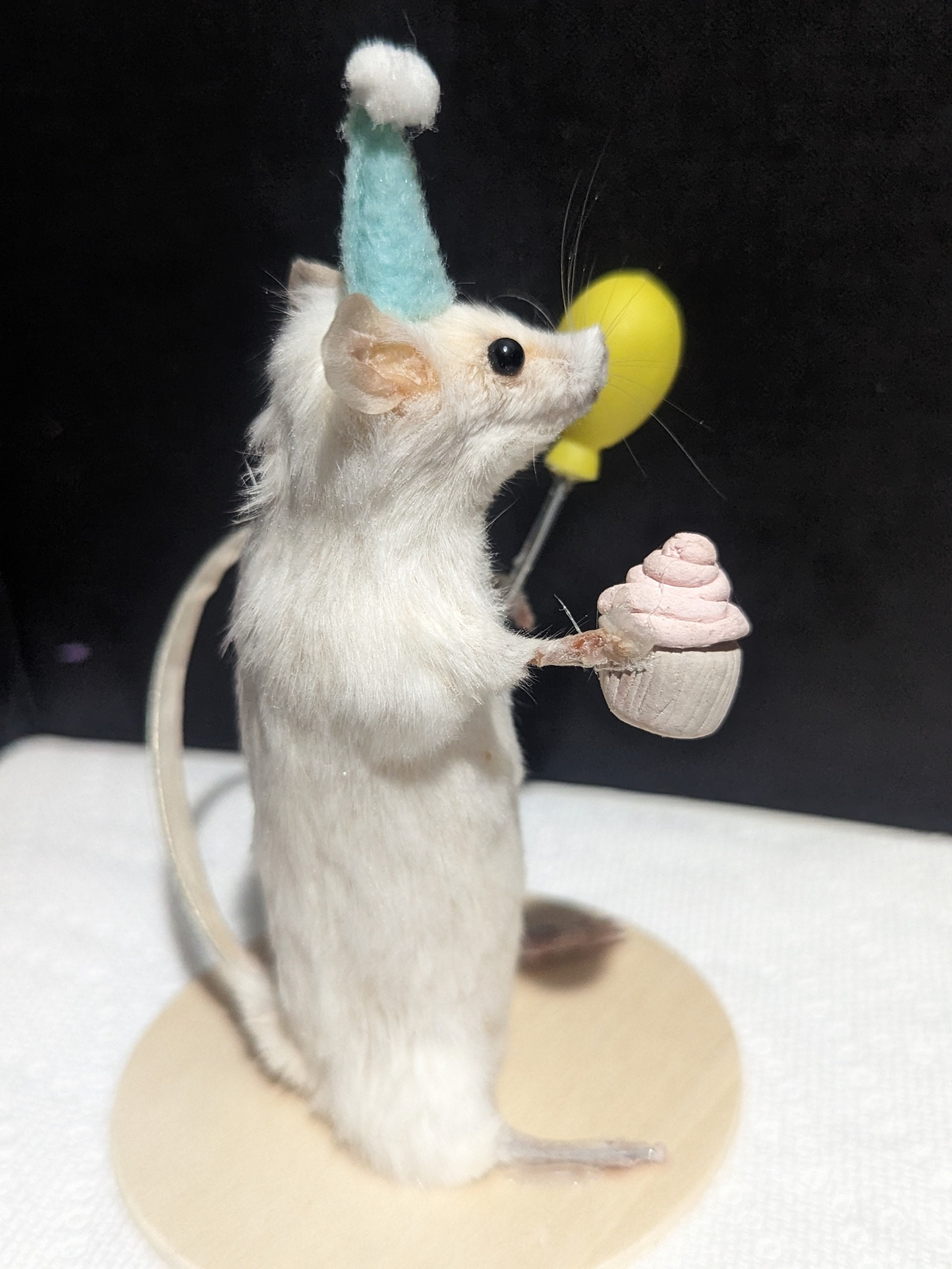 Taxidermy Birthday Mouse Odditys/curi Curiosity - Etsy