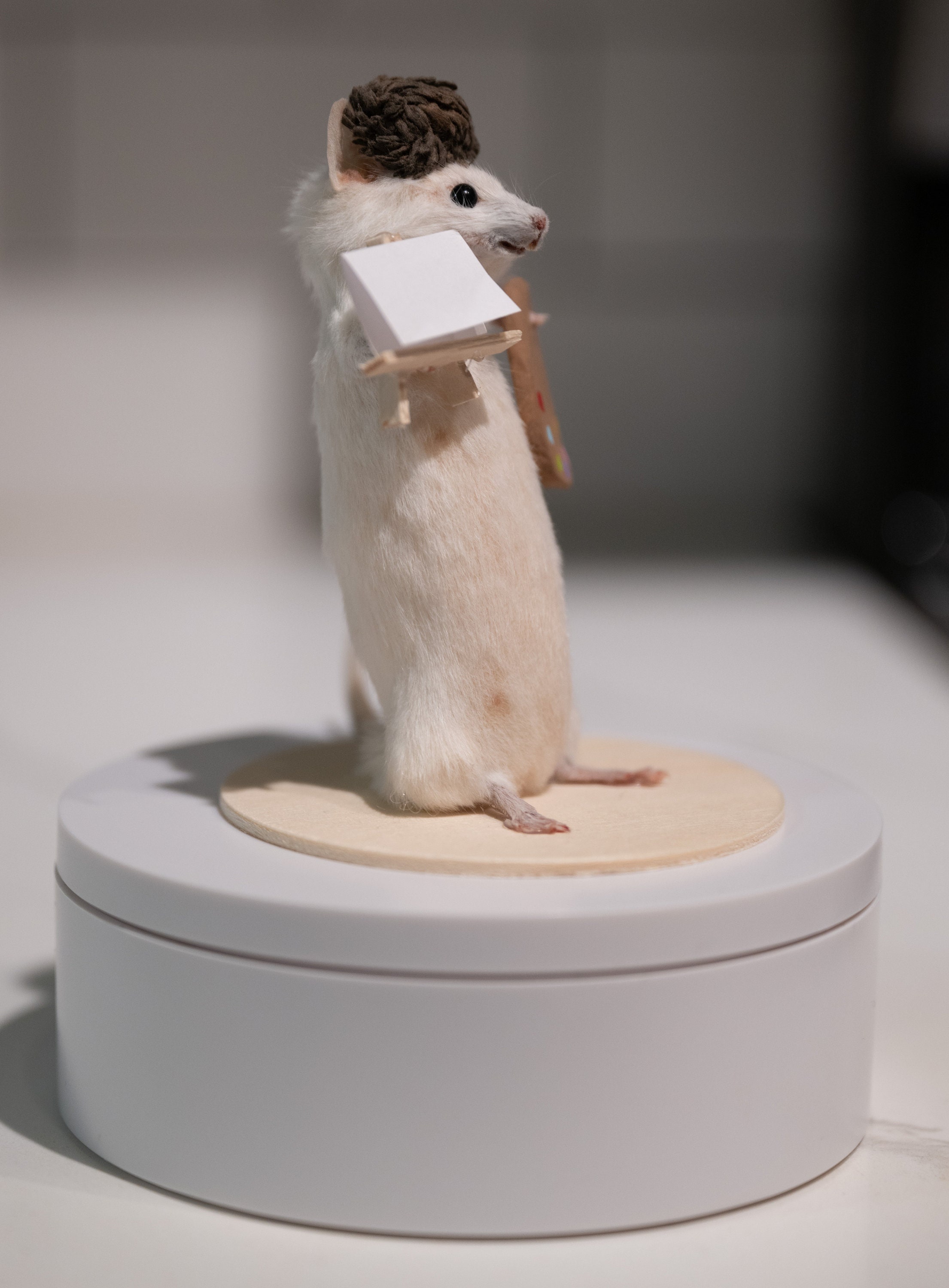 Taxidermy Mouse Bob Ross! Odditys / Curiosity - Etsy
