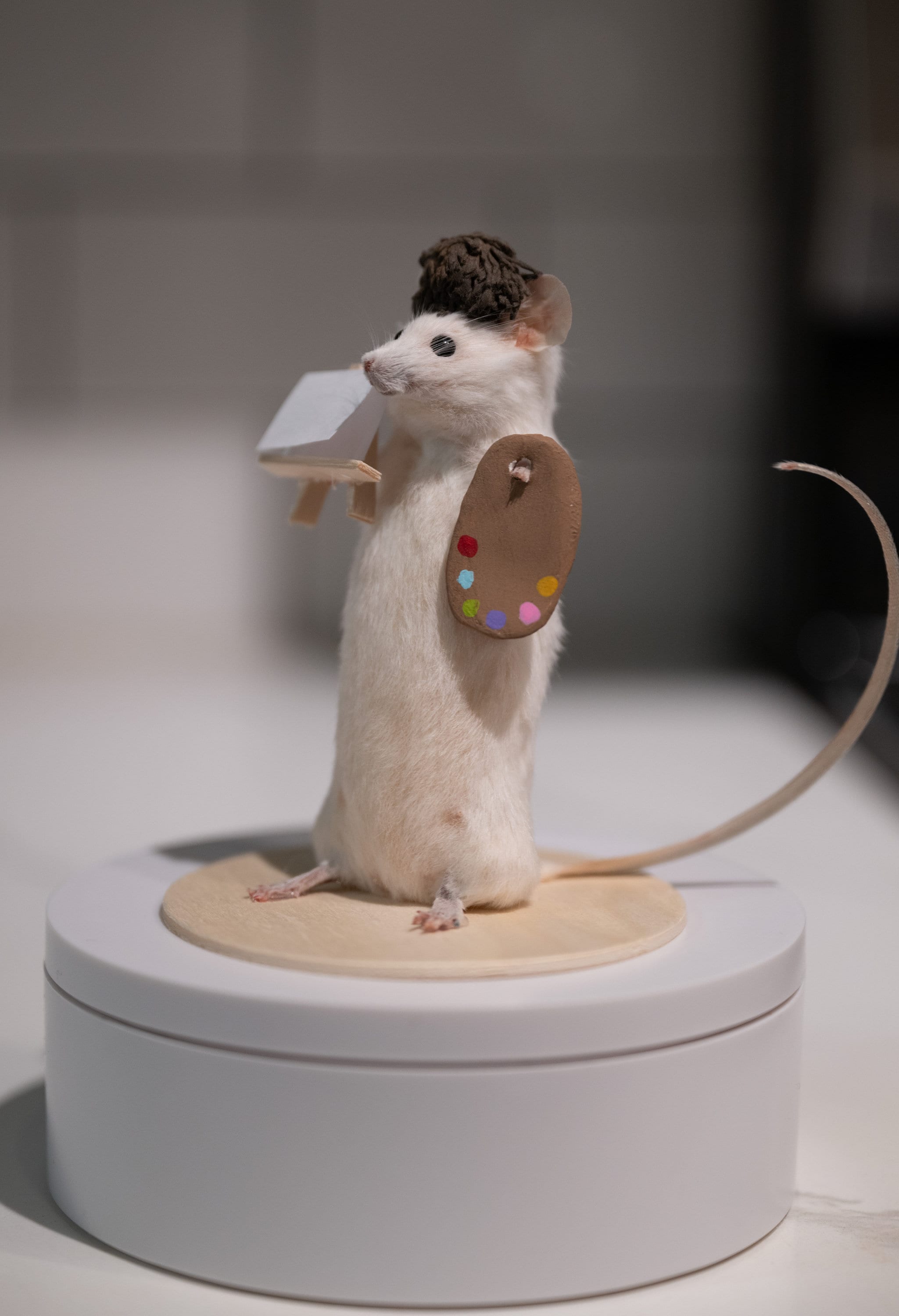 Taxidermy Mouse Bob Ross! Odditys / Curiosity - Etsy