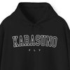 Karasun ICS Anime Sweater, Jumper Pullover Volleyball Club Fly Shirt ...
