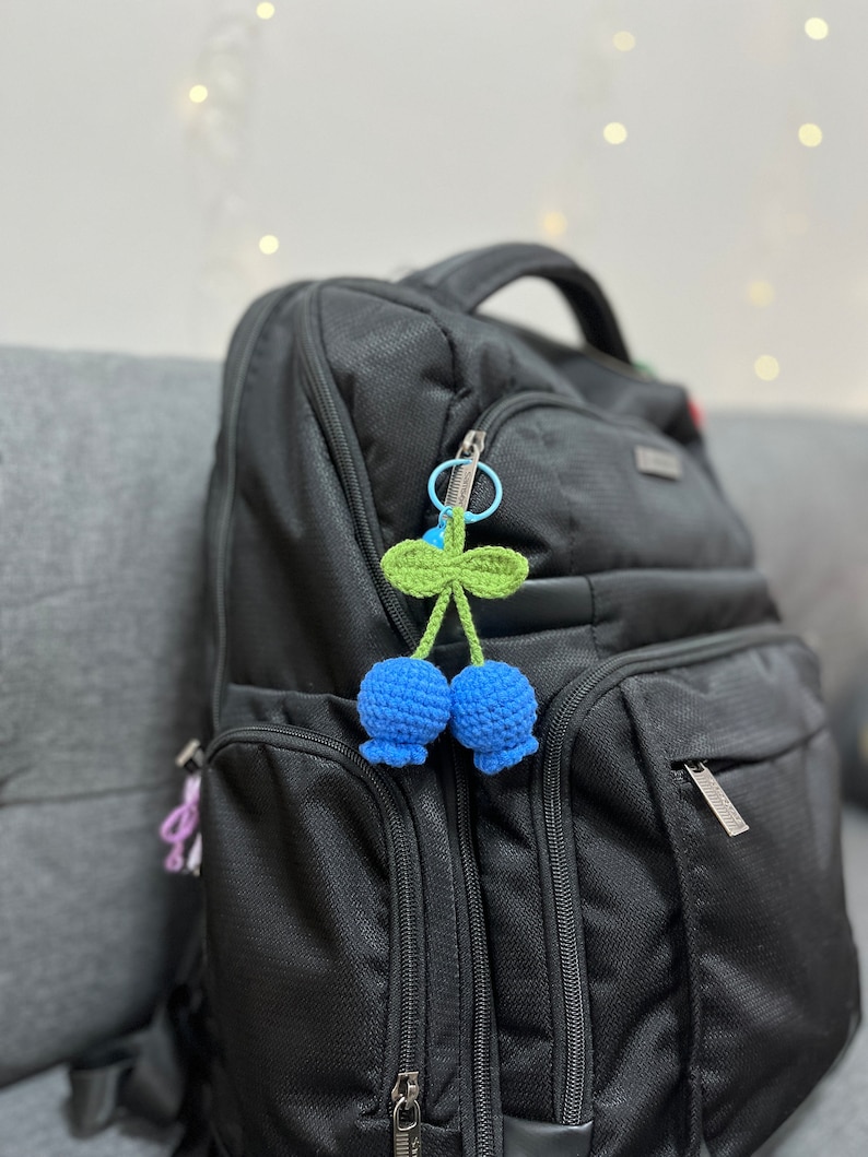 Handmade Crochet Blueberry Bag Charm, Cute Fruit Keychain - Etsy Canada