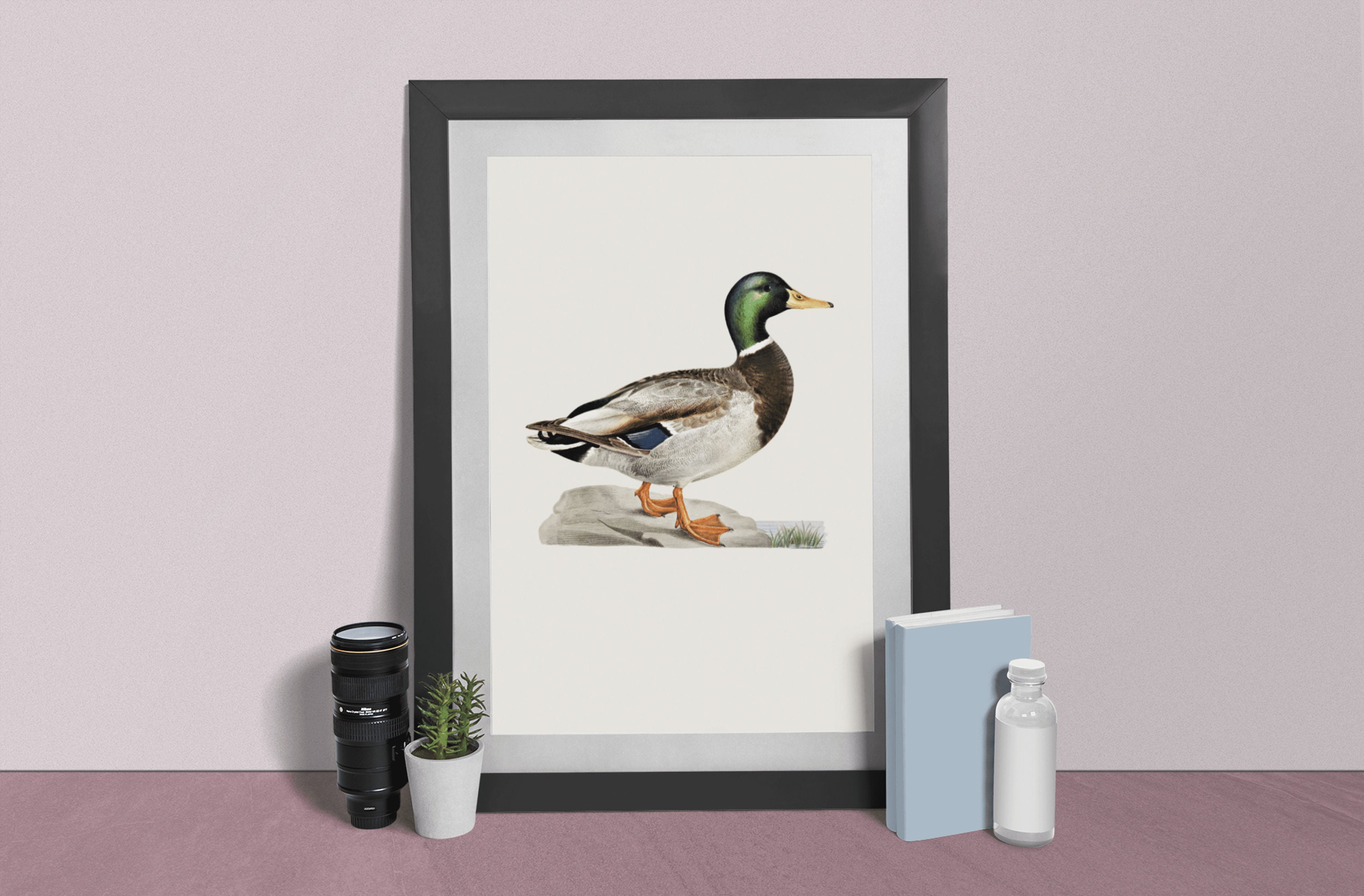 Mallard Duck Bird Print, Duck Wall Art Printable Download, Farmhouse ...