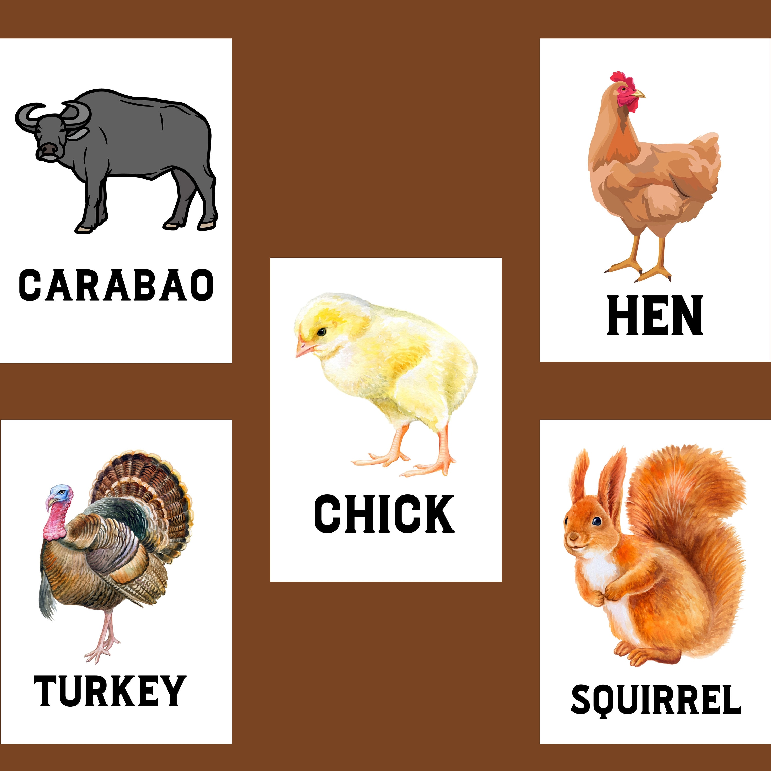 25 Farm Animals Flash Cards or Wall Poster Printable Instant Download ...
