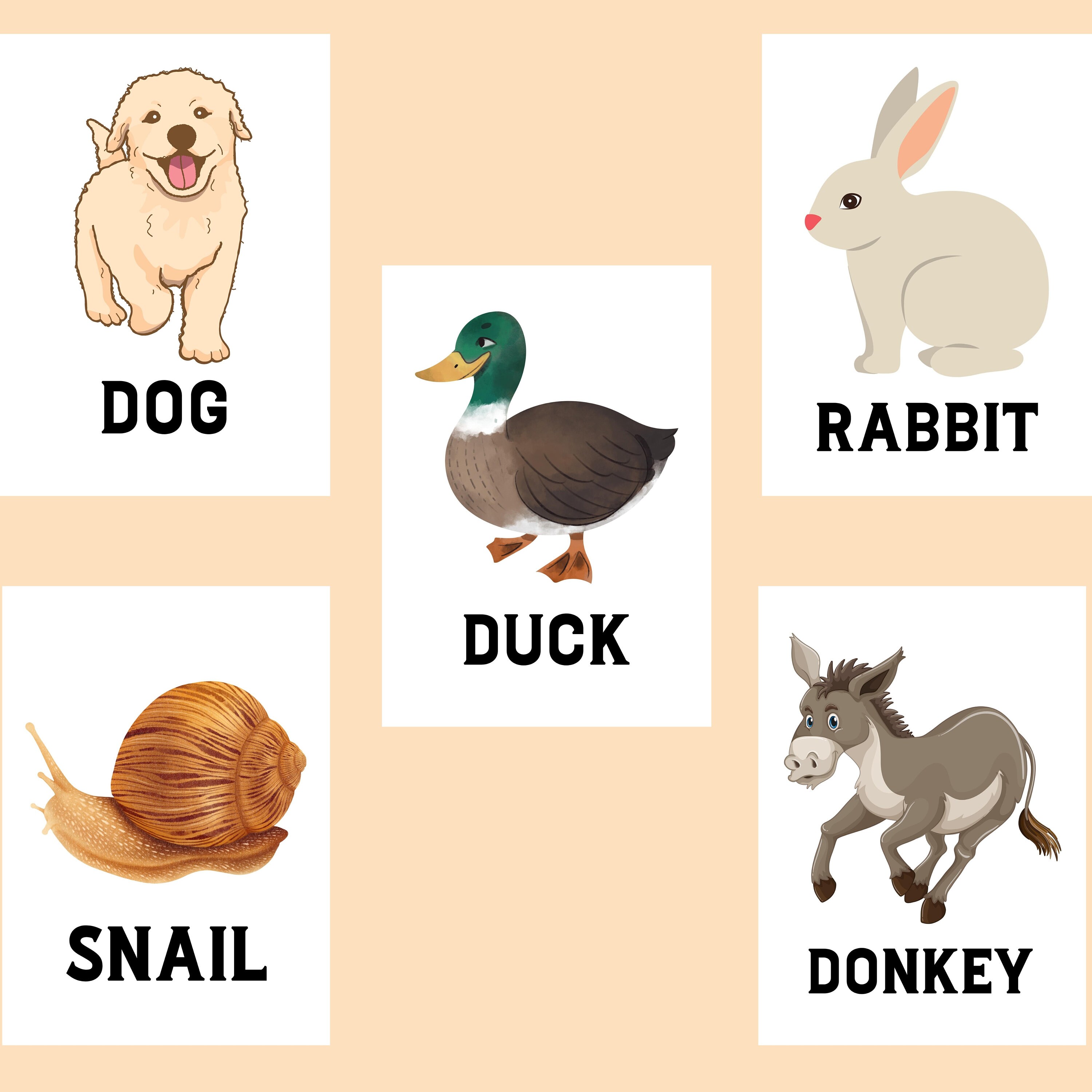 25 Farm Animals Flash Cards or Wall Poster Printable Instant Download ...