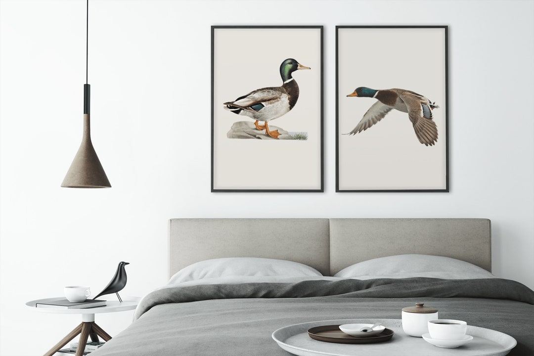 Mallard Duck Bird Print, Duck Wall Art Printable Download, Farmhouse ...