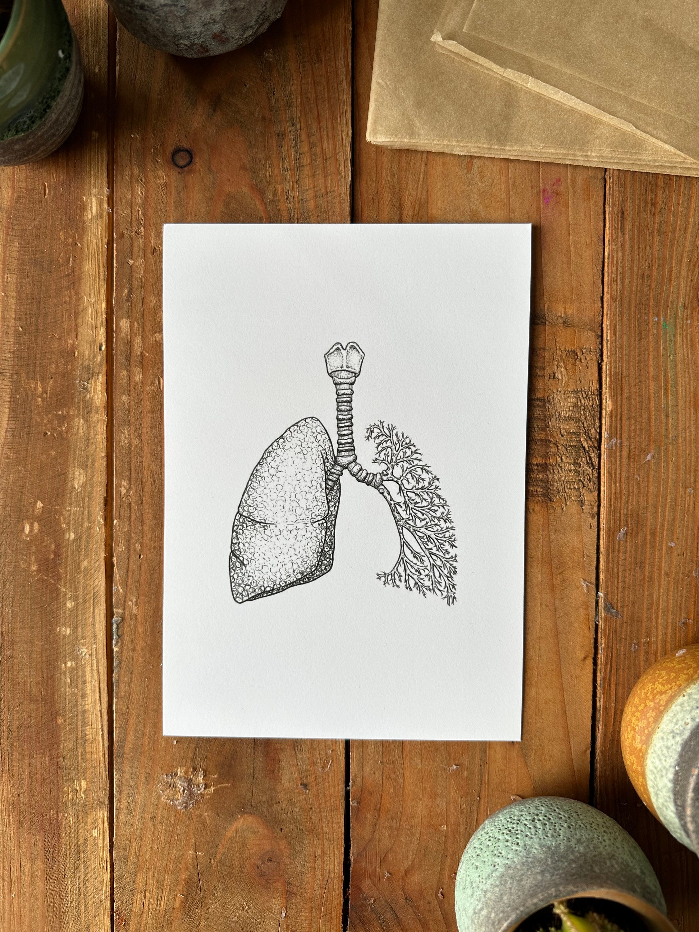 Lung Anatomy Print, Anatomy Poster, Wall Art, Medical Drawing, A5 Art ...
