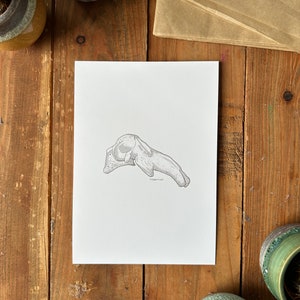 Cervical Vertebrae Anatomy Print, Anatomy Poster, Wall Art, Medical ...