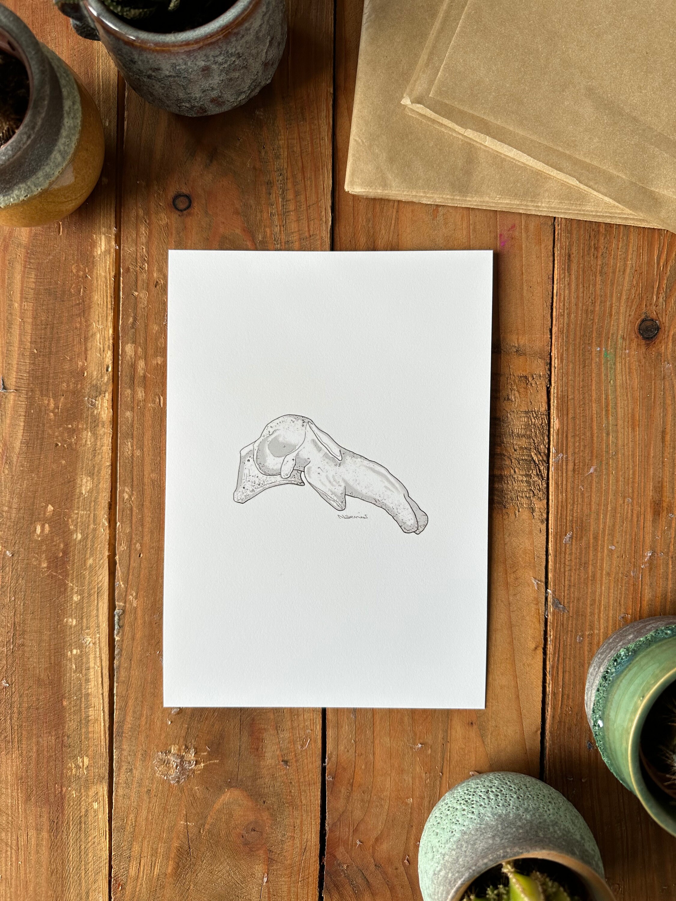 Cervical Vertebrae Anatomy Print, Anatomy Poster, Wall Art, Medical ...